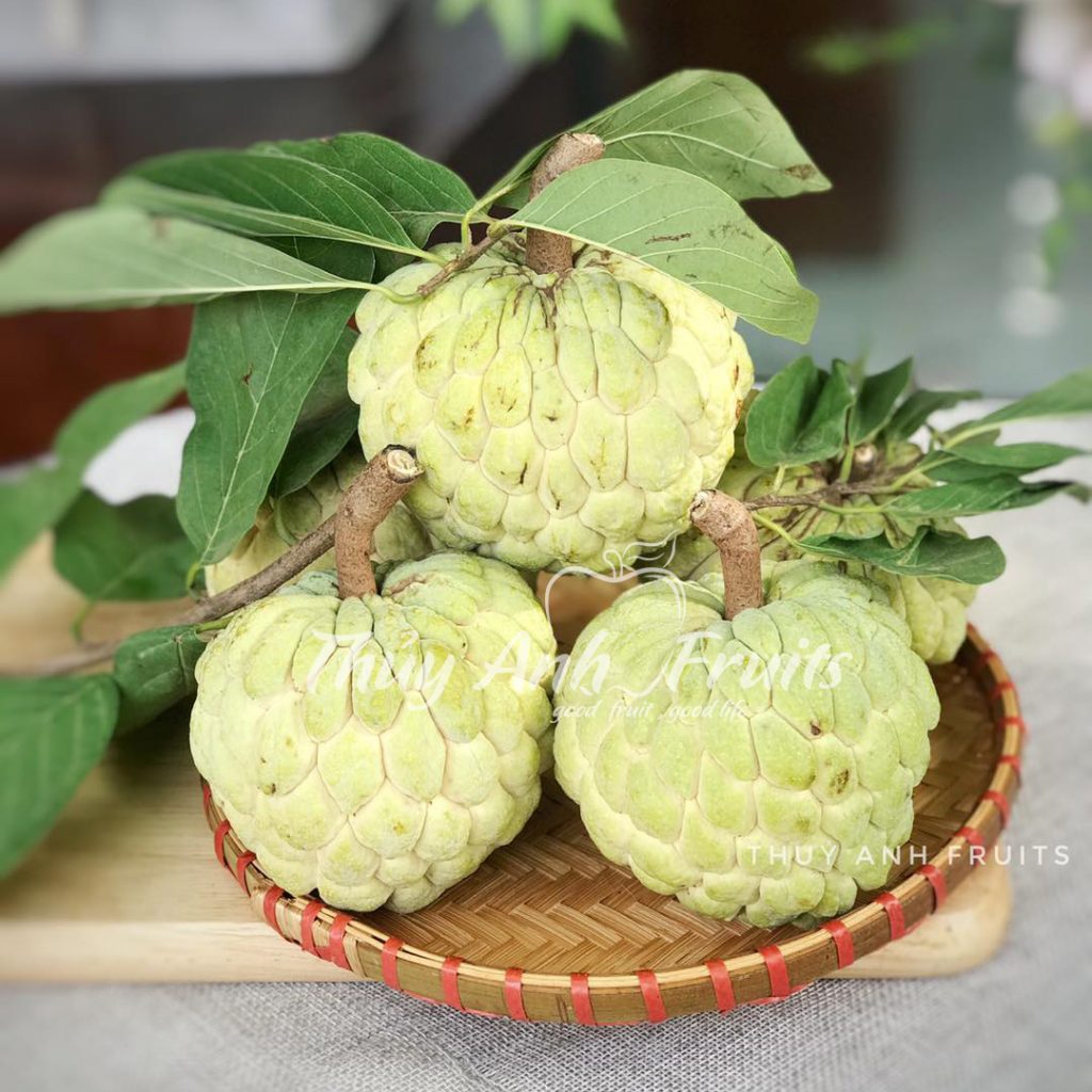 Na Dai Đồng Bành Chuẩn Chất Lượng - Hoa Quả Sạch Thủy Anh
