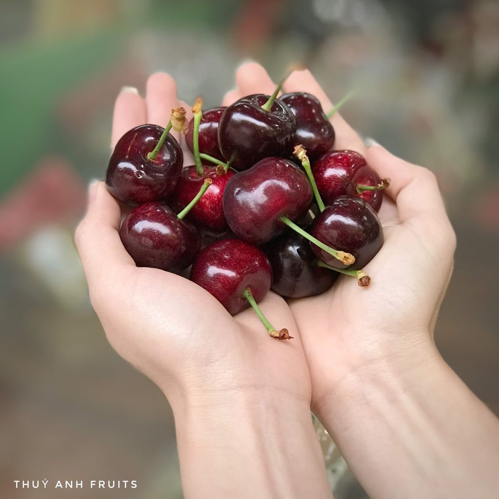 Cherry New Zealand - Hoa Quả Nhập Khẩu Thủy Anh Fruits